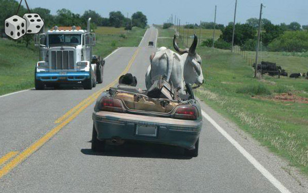 Steer Right : You Drive What